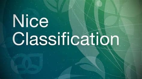 Understanding Nice Classification A Comprehensive Overview