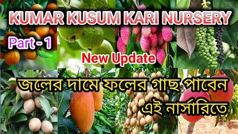Part 1 Kumar Kusum Kari Nursery ইউনিক ভ্যারাইটির ফলের গাছ পাবেন