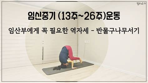 필라n요가 임신 13주~26주 임신중기 임산부 프로그램 벽을 이용한 반물구나무서기 중기임산부에게 꼭 필요한 동작