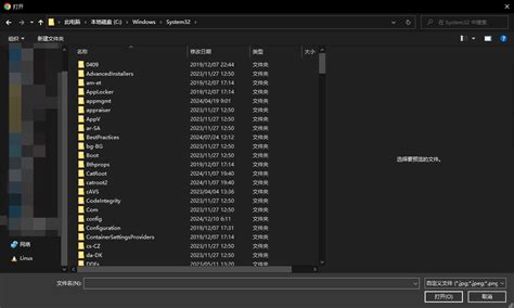 如何在 Windows 上用 Python 获取文件选择对话框中被选中的文件 12，来自 Jiongjiongjojo 开发调优