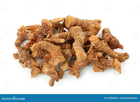 Dried galangal root stock image. Image of vegetable, asian - 15556365