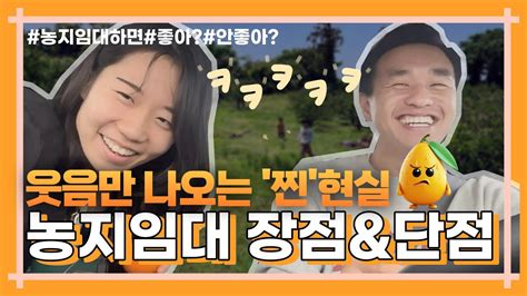 농지임대의 장점과 단점 제주 귀농 부부가 직접 겪어보고 정리해봤어요 귀농 농사 관심 있다면 컴컴 Youtube