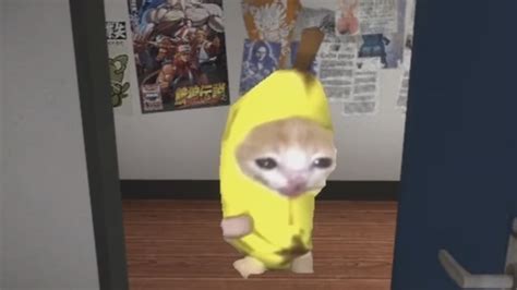 【tiktok】ハッピーハッピー猫（ハピハピ猫）とは？猫ミーム元ネタ・原曲解説【バナナ猫】【bananacat】 セオドアブログ