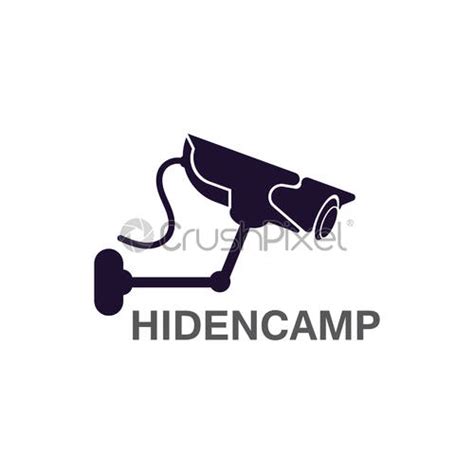 Hidden Camera Logo Security Template Design Icon Vector Stock Vector