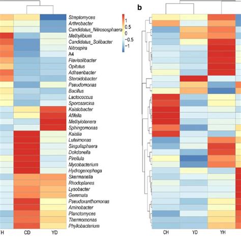 Heatmap And Hierarchical Cluster Analysis Of Bacteria A And Fungi B Download Scientific