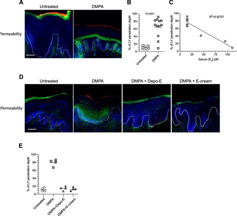 Exogenous Sex Steroids Regulate Genital Mucosal Barrier Function A Download Scientific
