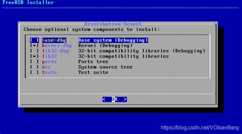 Windows10 和 Zfs 文件系统 Freebsd Uefi 引导 双系统安装windows Zfs Csdn博客