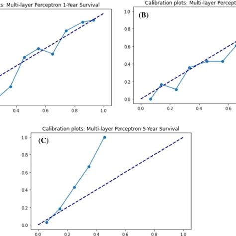 Calibration Curves For A 1 B 3 And C 5 Year Survival For The