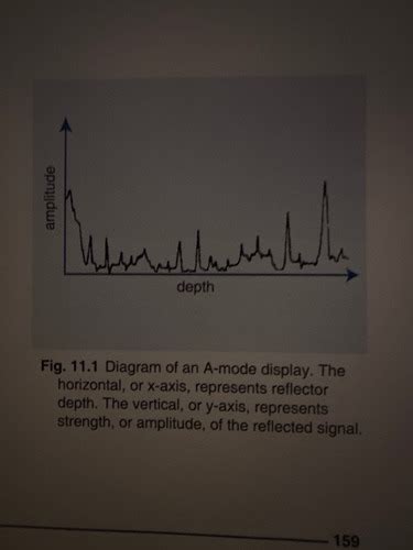 Chapter Display Modes Flashcards Quizlet