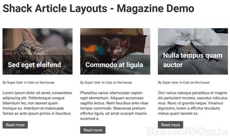 Shack Article Layouts 401