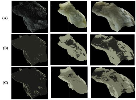 The Example Of Image Quantization Results Using K 2 And K 3 In B Line Download Scientific