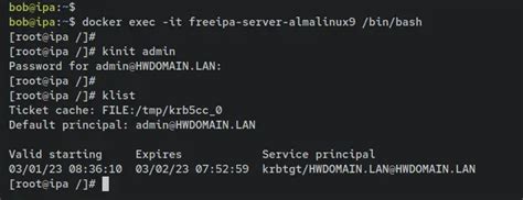 How To Install Freeipa Server With Docker On Debian 12