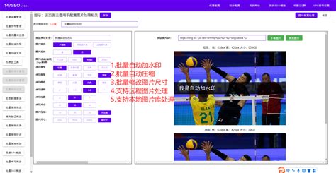 网页图片提取 在线任意网站图片批量提取免费 知乎