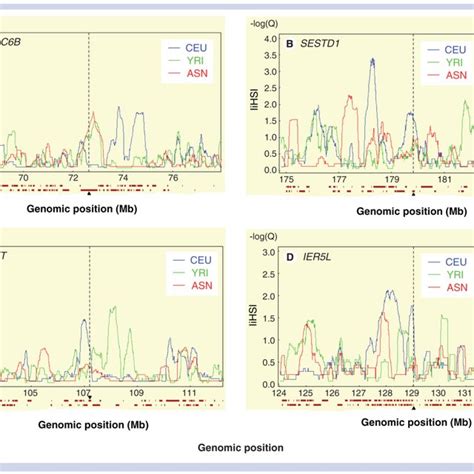 Hapmap Snp Allele Frequency Differences δ Between Hapmap Populations Download Scientific