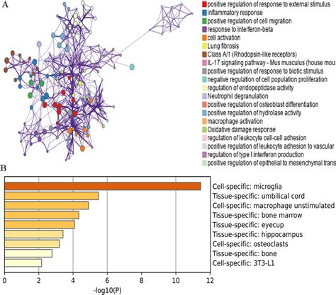 Ppi Network And Function Module Identification A Proteinprotein Download Scientific Diagram