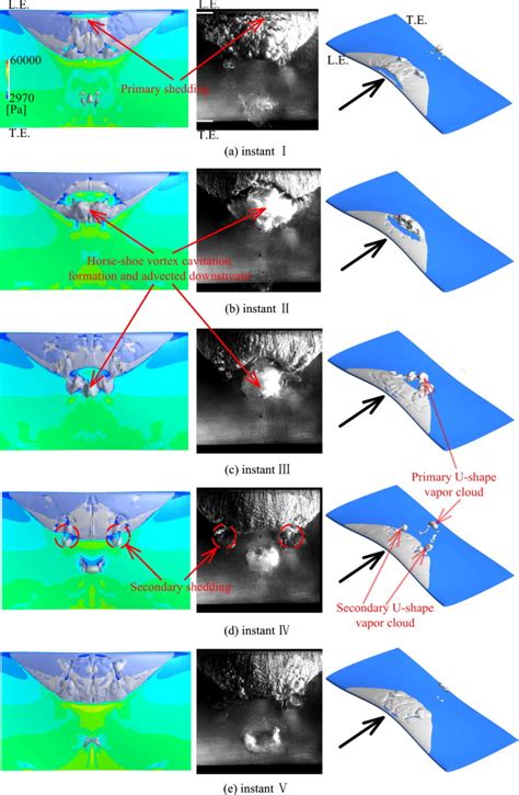 Cavitation Patterns During One Cavity Shedding Cycle Left Numerical