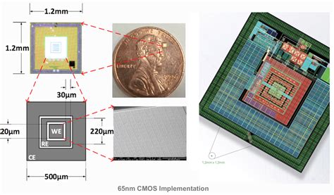 Fully Implantable Glucose And Lactate Sensor Mics Lab