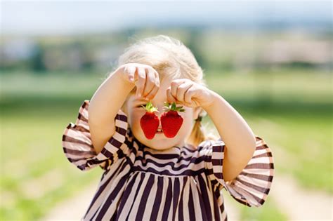 화창한 날 여름에 유기농 베리 농장에서 건강한 딸기를 따기와 먹는 행복한 어린 유아 소녀의 초상화 웃는 아이 딸기 농장 필드에 아이 잘 익은 붉은 열매 건강한 생활방식에