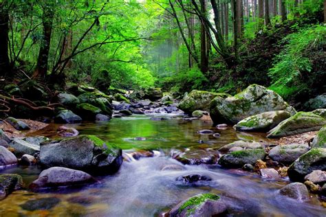 奥三河の秘境涼を求めて GANREF