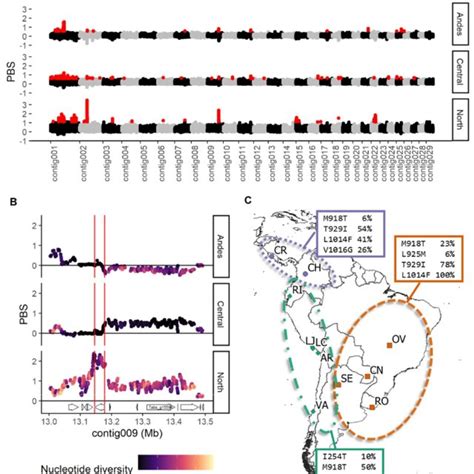 Selection Signals In T Absoluta A Pbs Values In Each Region