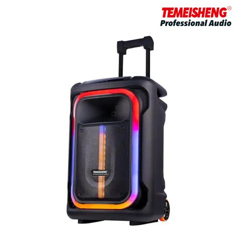 Temeisheng Portable Outdoor Bass Party Trolley Speaker W With Microphone Model