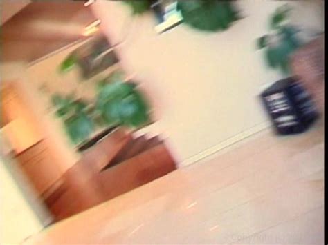 Amazing Gape 3 The 2012 Adult Empire