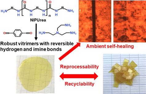 Design Of Isocyanate Free Biobased Polyurea Vitrimers With Dynamic Hydrogen And Imine Bonds