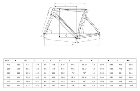 Bianchi Bike Frame Size Chart Cheapest Stores Randa Tn