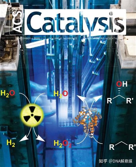 Acs Catalysis封面—核废料和生物催化：可持续的联系？ 知乎