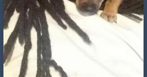 With Technology Imgur