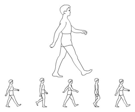 Schematic Diagram Of The Spatiotemporal Characteristics Of Gait Download Scientific Diagram