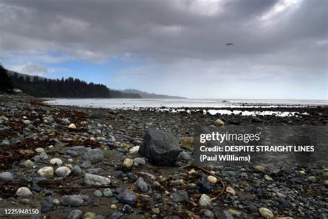 Coastal Salish Photos And Premium High Res Pictures Getty Images