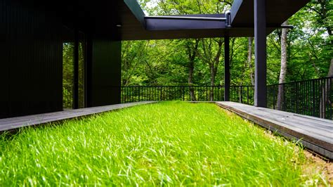 საქართველოს ინფრასტრუქტურის სამინისტროს მუნიციპალური განვითარების ფონდი თბილისის ეროვნული