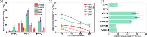 Catalytic Properties Of The Ppk Enzymes A Effect Of Phosphate Chain Download Scientific