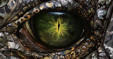 Crocodile Eye Imgur