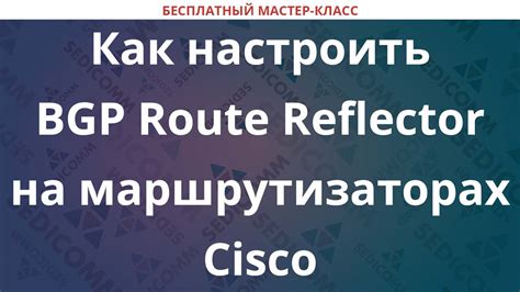 如何在 Cisco 路由器上配置 Bgp 路由反射器