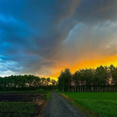 Nidal Altrhony Threads Say More