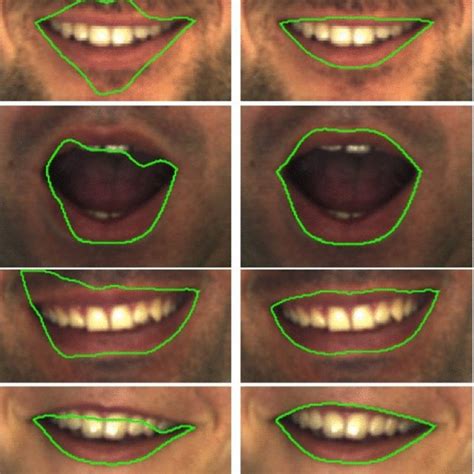 Four Typical Examples Of Colour Based Segmentation A And Optimised