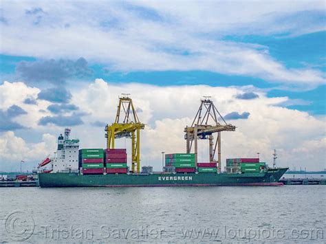 Container Cranes Loading Ever Ally Container Ship