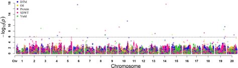 Multi Trait Manhattan Plot Of Association Mapping Results For Yield Download Scientific Diagram