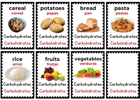 Grade 7 Science Organic Compound Visual Vocabulary Cards With Language