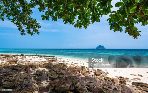 태국 코피피 섬의 아름다운 열대 해변의 전망 푸른 숲 야자수 청록색 물이 있는 하얀 모래 여름 날씨 낙원에서의 휴가 개념 0명에 대한 스톡 사진 및 기타 이미지 Istock