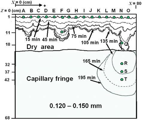 Front View Of The Experimental Chamber With The Wetting Fronts Download Scientific Diagram
