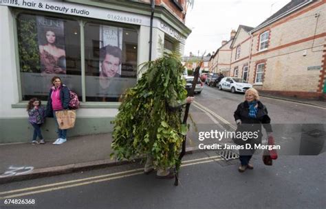 Spring Foilage Photos And Premium High Res Pictures Getty Images