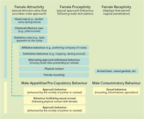 Chapter 3 Sex Research Methods Flashcards Quizlet