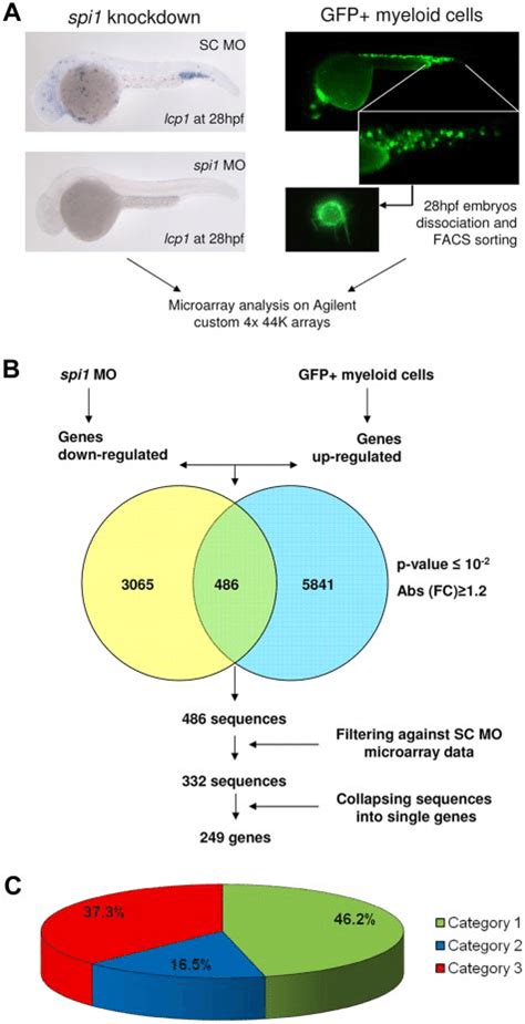 Microarray Experiment Setup And Analysis A The Experimental Setup Of