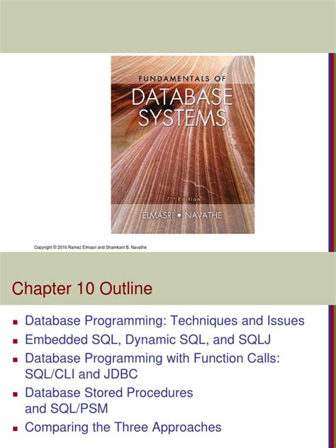 Chapter 10 Pdf Sql Application Programming Interface