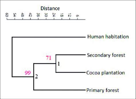 Hierarchical Clustering Based On Bray Curtis Distance Showing The