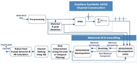 The Overall Fetal Ecg Separation Scheme Download Scientific Diagram