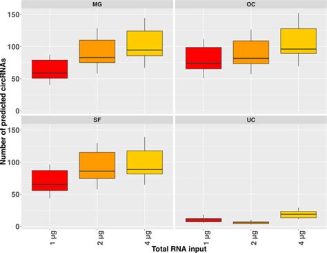 Circrna Detection Using Varying Amount Of Input Rna Using Rna Download Scientific Diagram